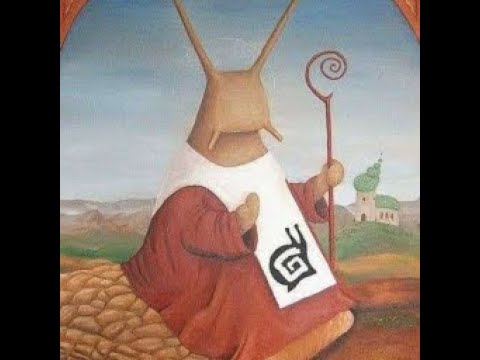 What happens when you feed the snail - YouTube