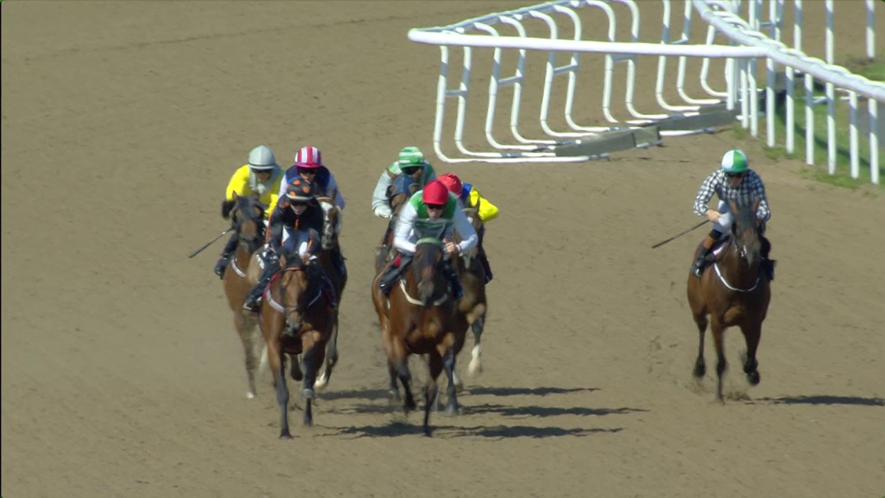 Dundalk racing highlights 12th July 2017 - YouTube