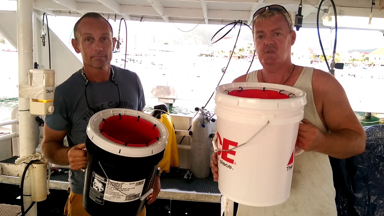 making a lionfish holder part 3 - YouTube