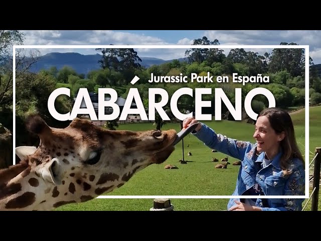 Que hacer en cabarceno 60 foto - Elijoviajar.com