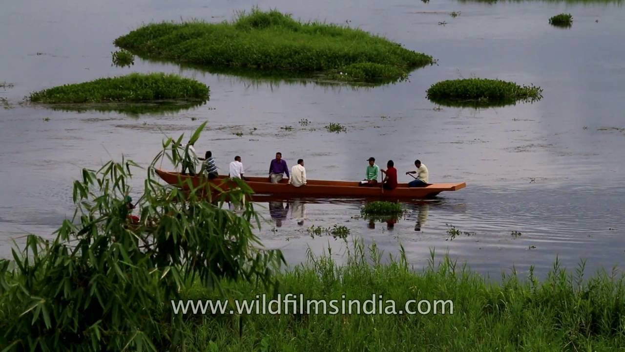 Phumdi islands float on Loktak Lake in Manipur: aerial view - YouTube
