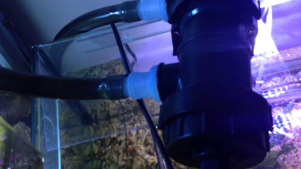 African Cichlid Community Tank with Sump / Nitrate and Calc - YouTube