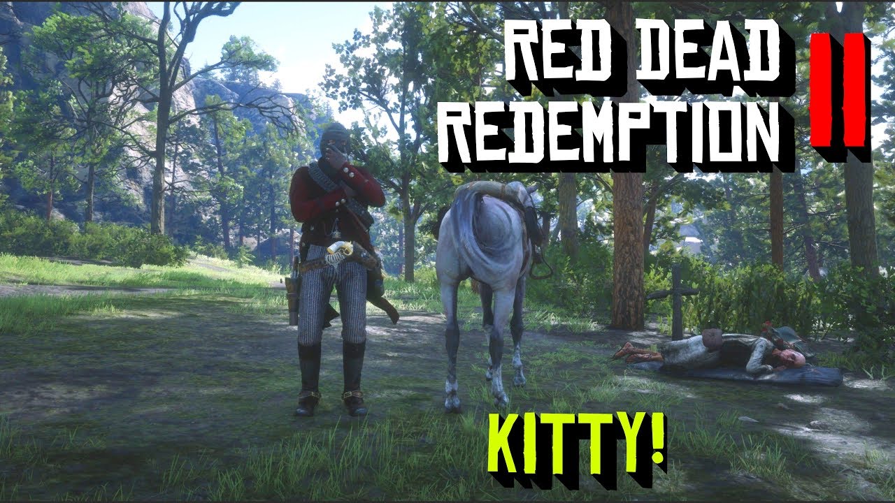 Red Dead Redemption 2 American Domestic Cat Location - YouTube