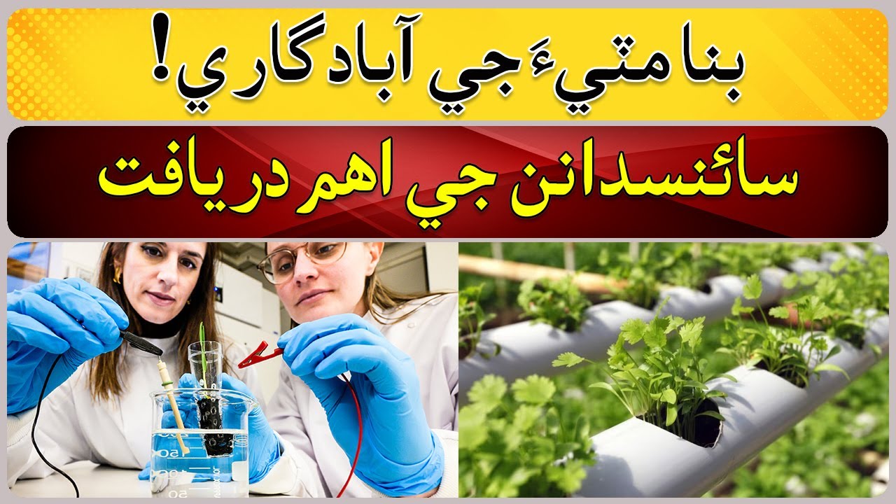 What will the discovery of the-soil is electronic soil lead to? - YouTube