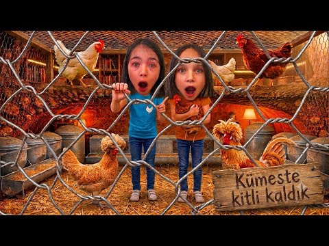 ELİF İLE ALYA KÜMESTE KİLİTLİ KALDI ‼️HOROZ SALDIRDI !! OLAYLI GÜN ‼️