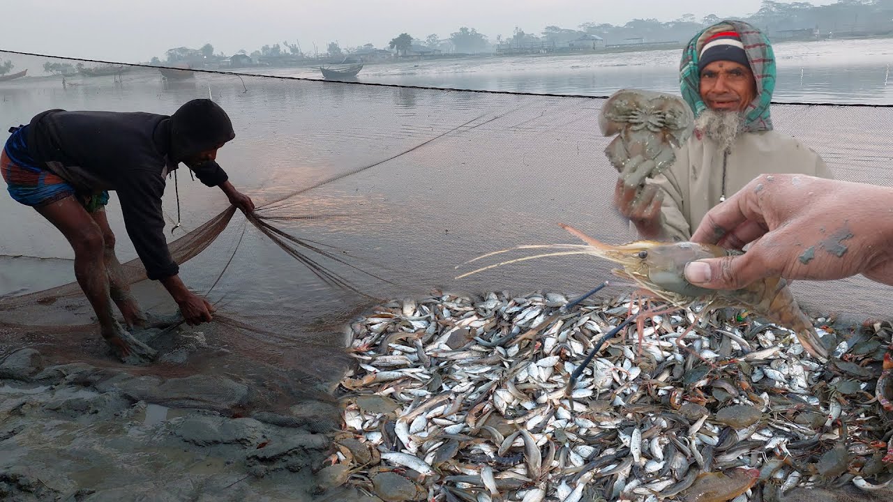 Sundarbans Most Amazing Fishing In 2022 | Fishing By Cast Net | Costal Area Fishing - YouTube