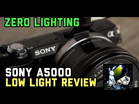 Sony a5000 paired Sigma 19mm f2.8: Low Light Outdoor Performance Test ...
