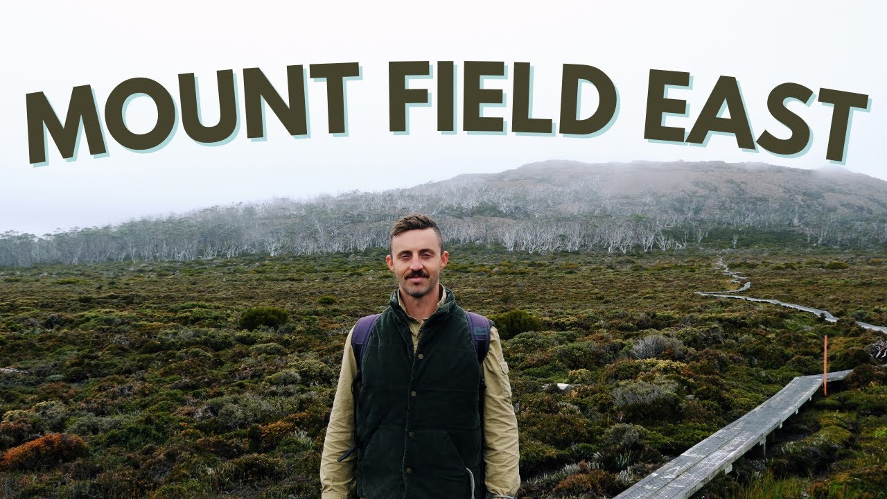 ANOTHER TASSIE EPIC HIKE + Camping info | Mount Field East National ...