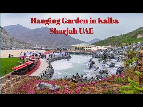 Exploring Hanging Garden Sharjah in Kalba UAE New Attraction With ...