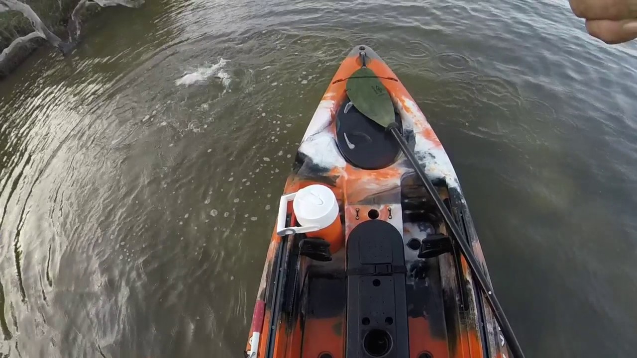 Inshore Slam with Topwater Action - YouTube