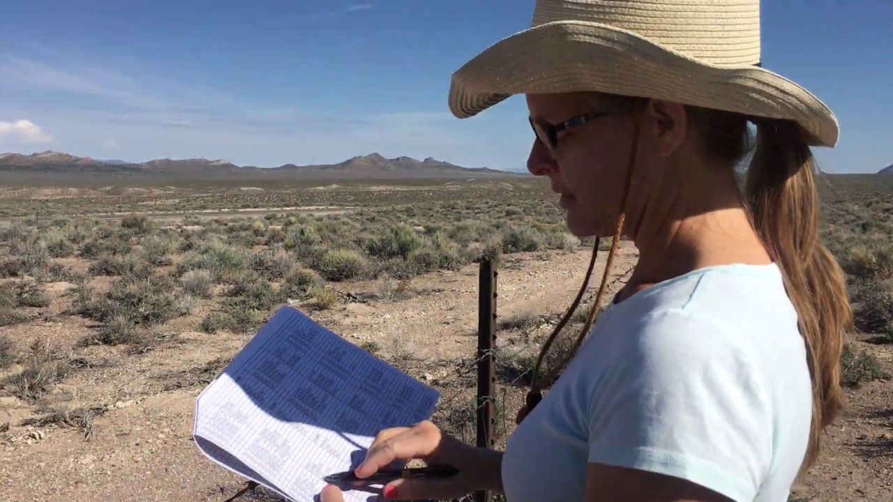 Silver State Challenge 2018 - YouTube