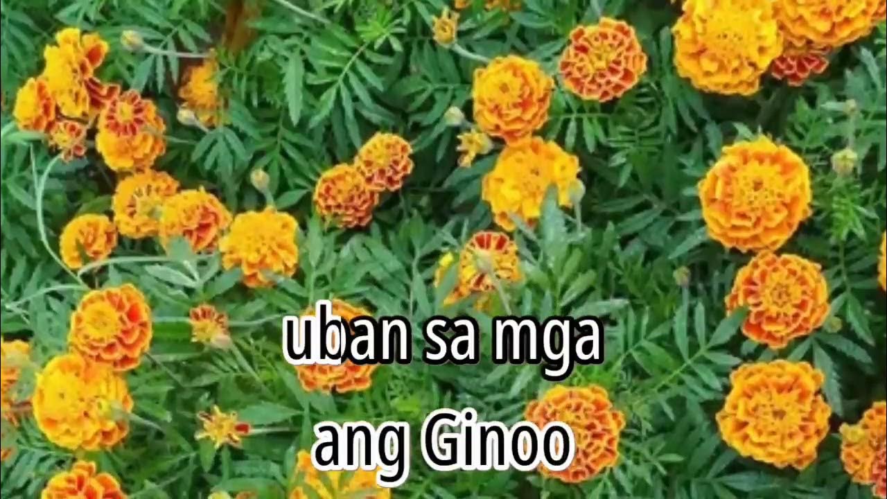 Daygon Ta Ang Ginoo ~ Entrance Karaoke Song - YouTube