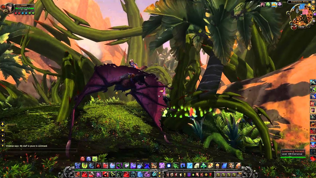 The Everbloom Entrance - YouTube