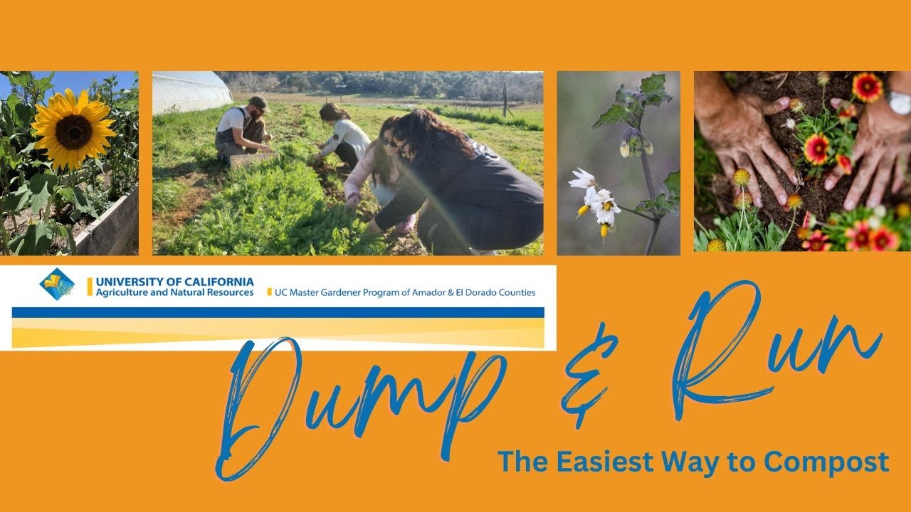 Amador Dump & Run - YouTube