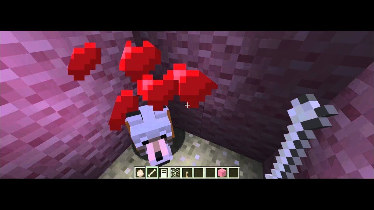 Minecraft How to Tame Wolf - YouTube