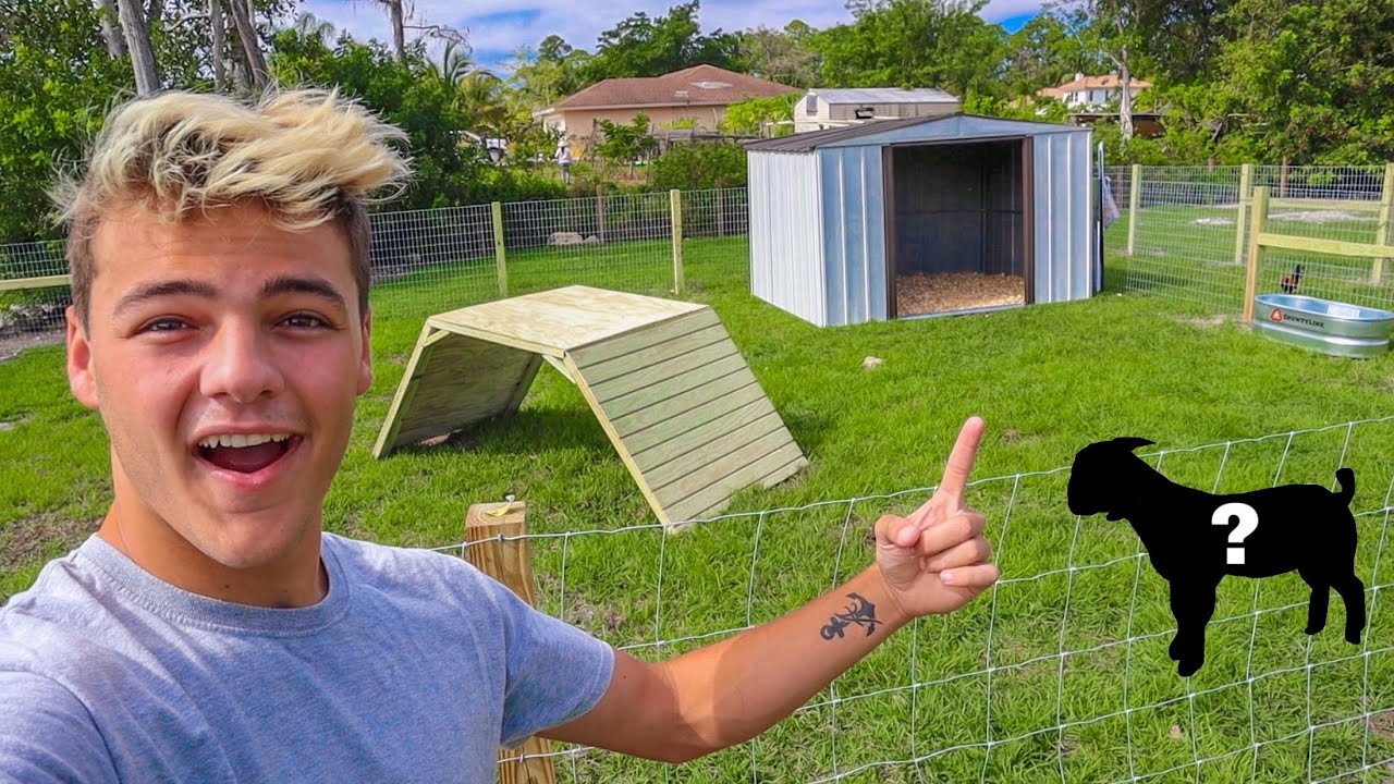 BUILDING My *NEW* GOAT ENCLOSURE!! - YouTube