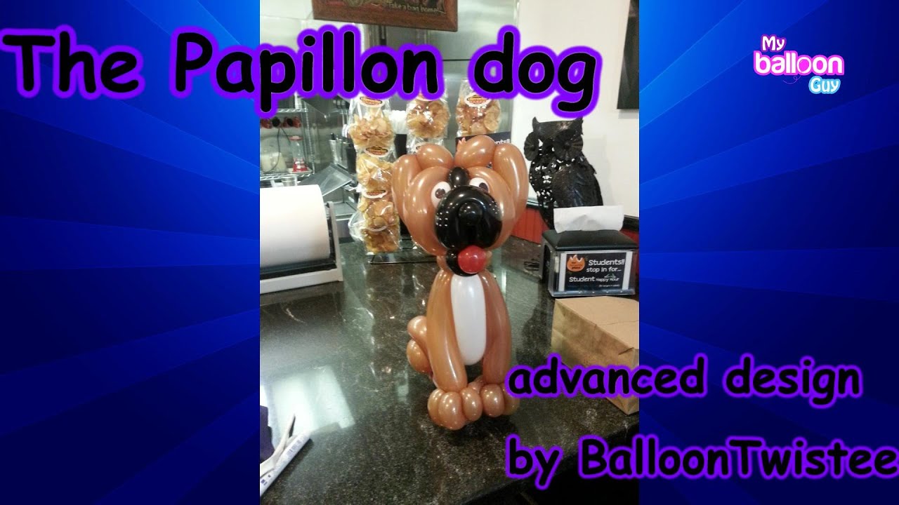 The Papillon Dog Advanced balloon twisting tutorial - YouTube