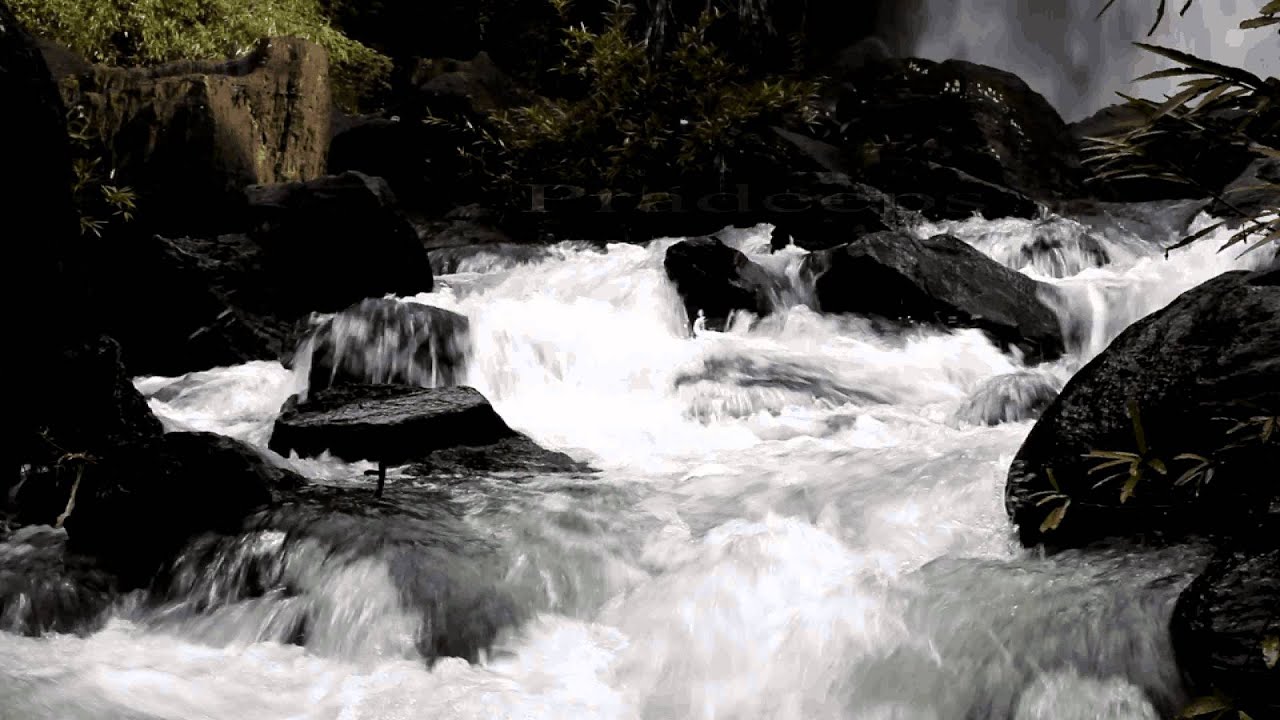 Beauty of kerala wayanad HD - YouTube