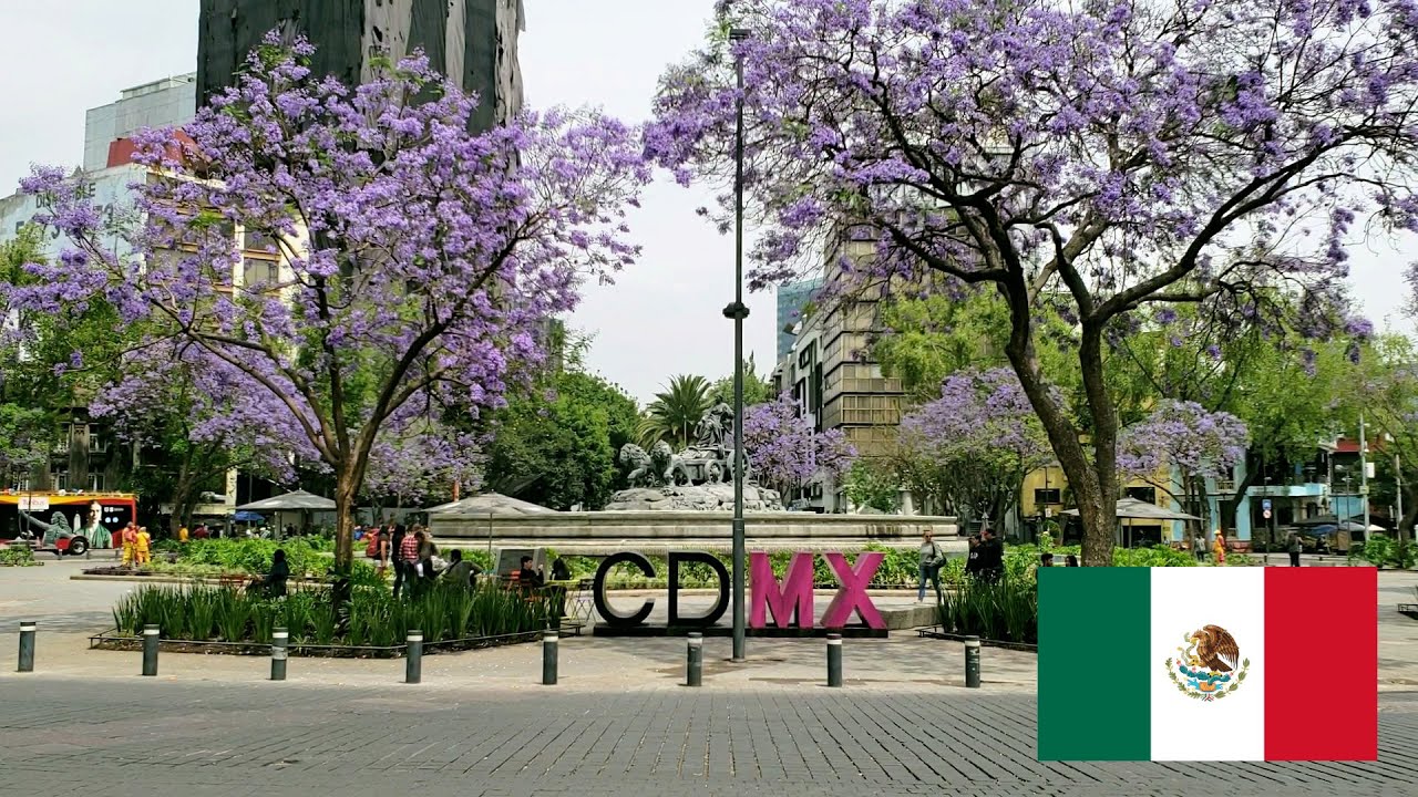 Colonia Roma Norte (2019)/ Ciudad de México - YouTube