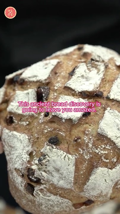 14,000-Year-Old Bread? The Crusty Secret of Ancient Times! 🍞 #bread # ...