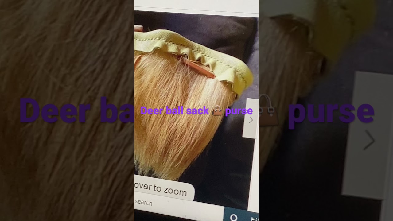 🦌 deer ball sack purse - YouTube