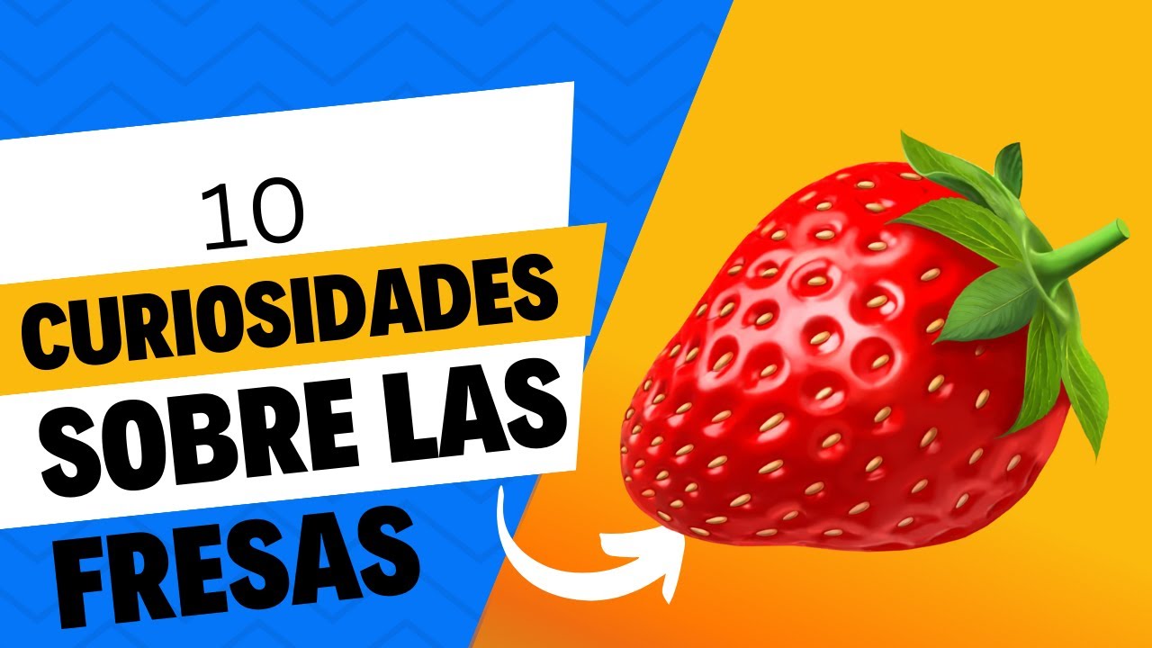 10 Curiosidades sobre las Fresas (Cosas que no sabías sobre las fresas ...