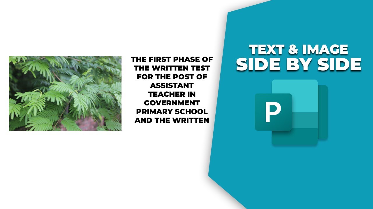 How to get text and image side by side in Publisher - YouTube