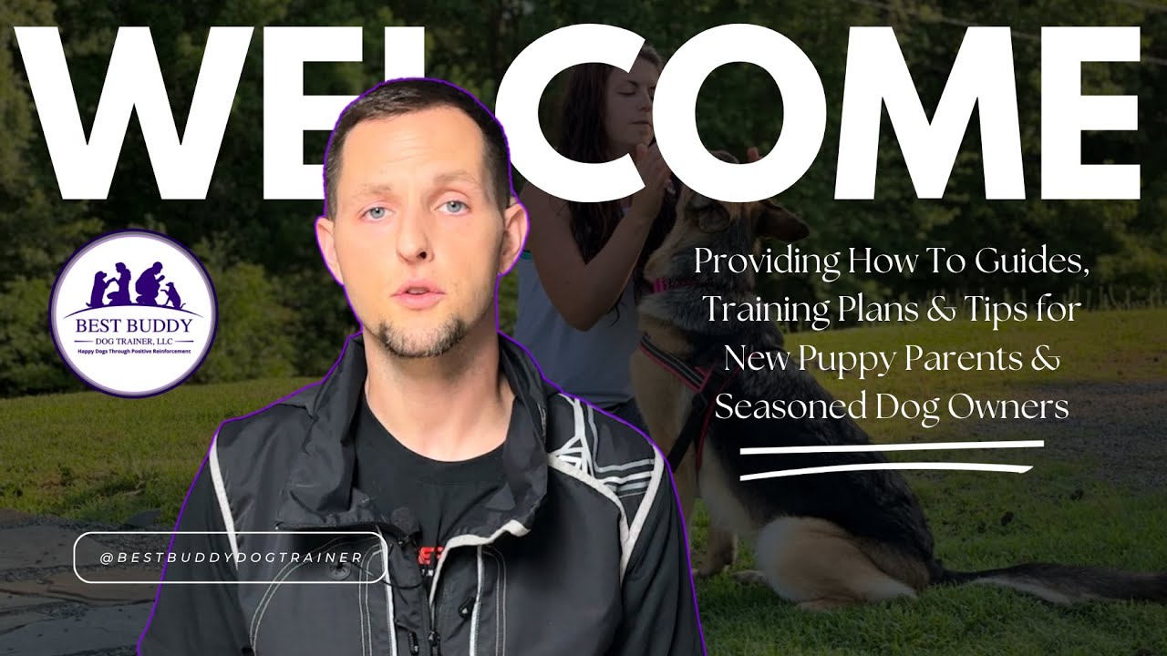 The Best Way To Correct Puppy Problems FAST - YouTube