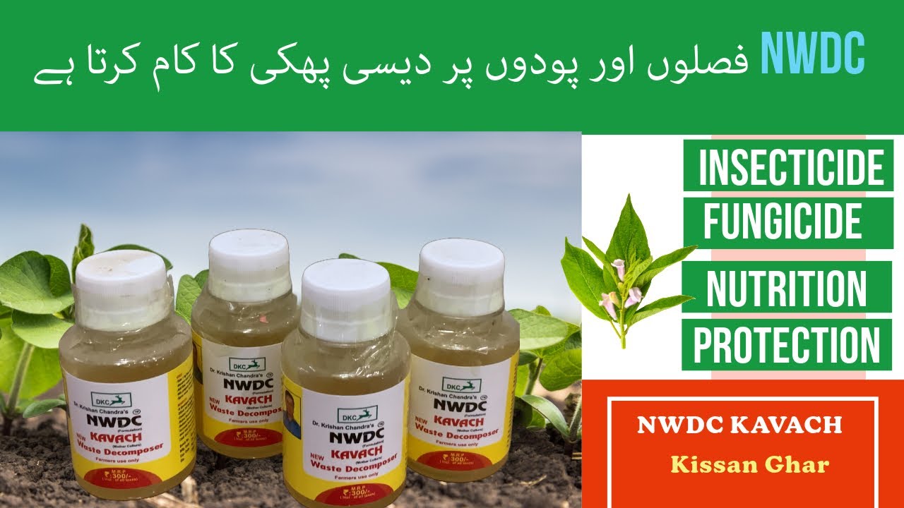 NWDC foliar spray for all crops and plants | complete protection for crops | nwdc kavach dr ...