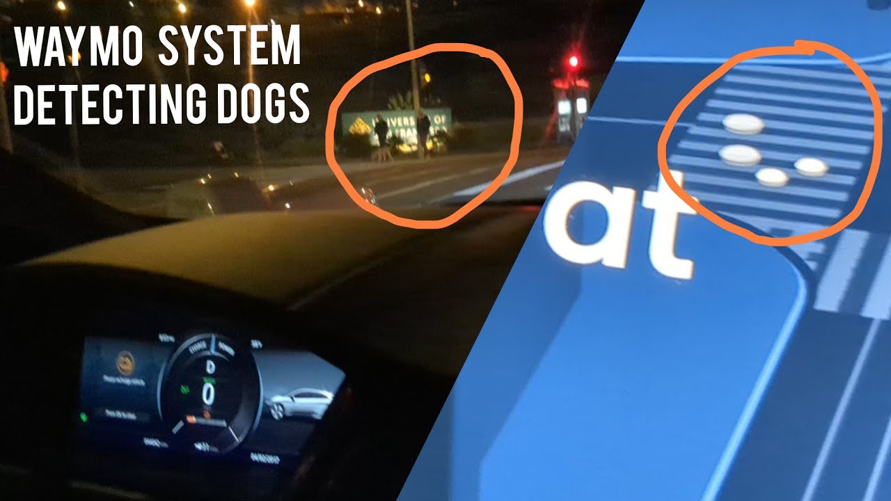 Rider perspective: Waymo system detecting dogs in San Francisco - YouTube