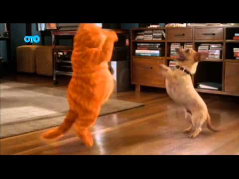 OTO animirani filmi - YouTube