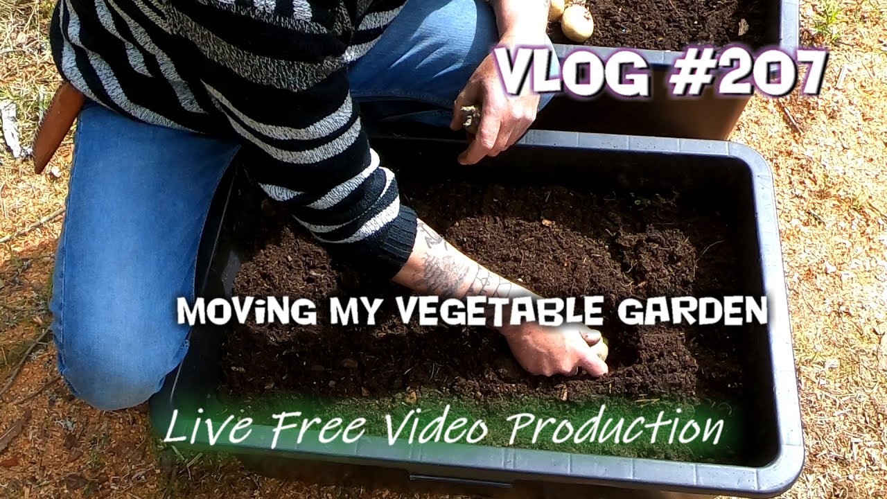 Moving my vegetable garden. VLOG #207 - S4 - YouTube