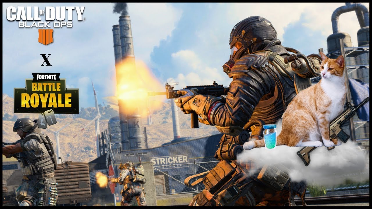 Fortnite in Call of Duty?!?! - YouTube
