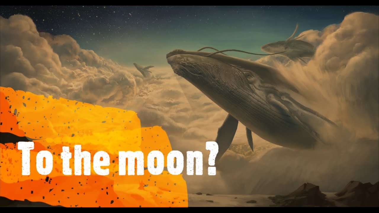To The Moon? - YouTube