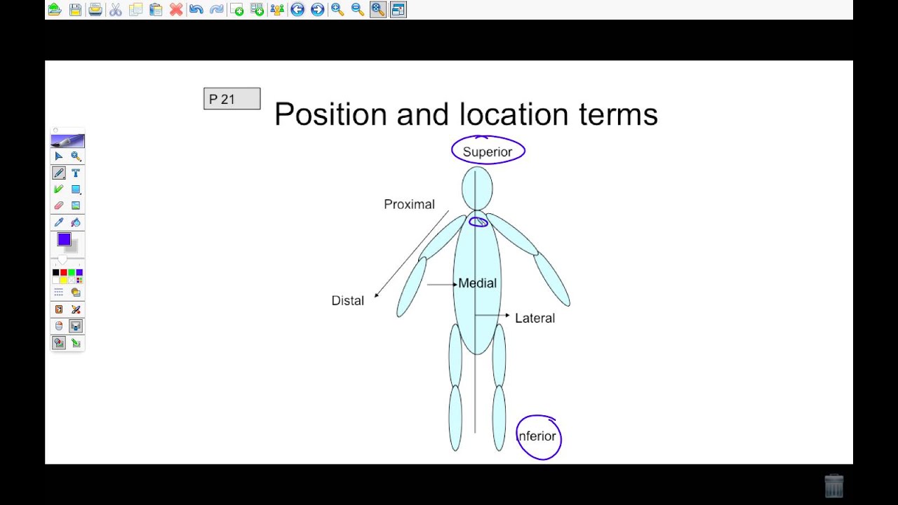 Intro to A+P Part 1 - YouTube