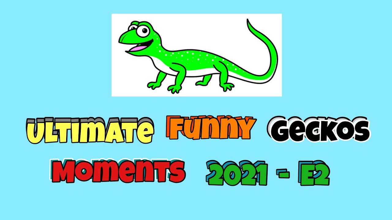 Ultimate Funny Geckos Moments 2021 - E2 - YouTube