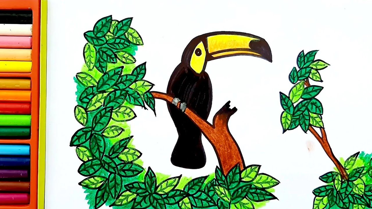 How To Draw a Toucan Step by step for Beginners - YouTube