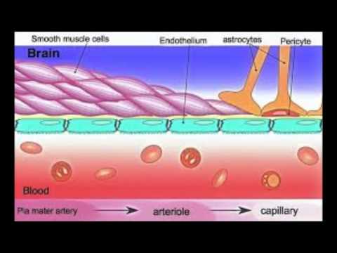 Technetium 99 - YouTube