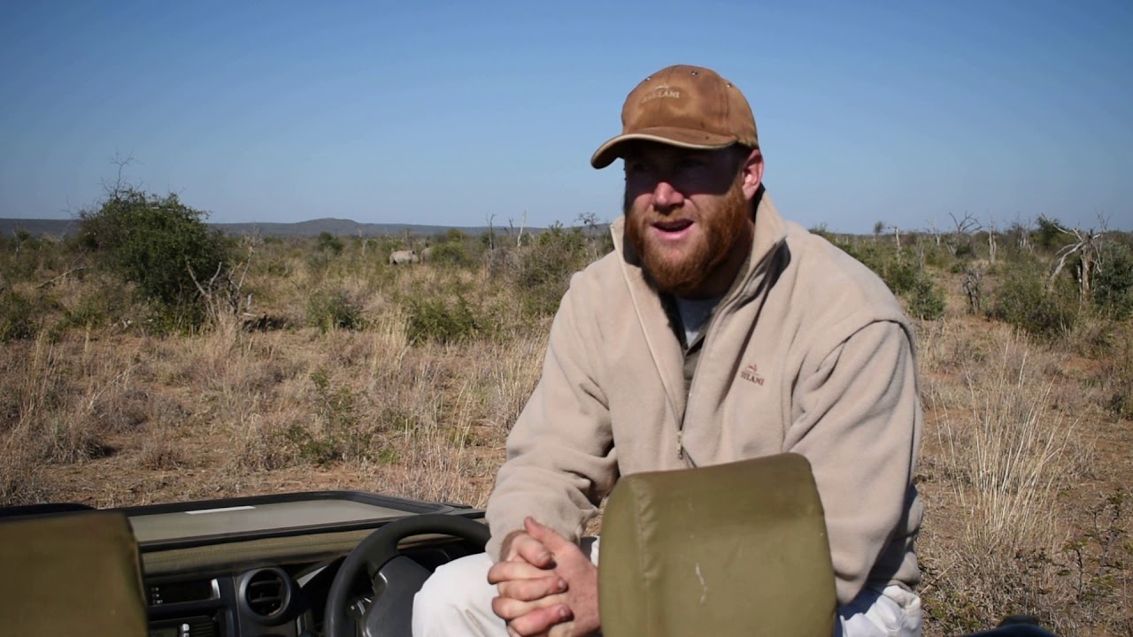 Life of a Ranger: White rhinos - YouTube
