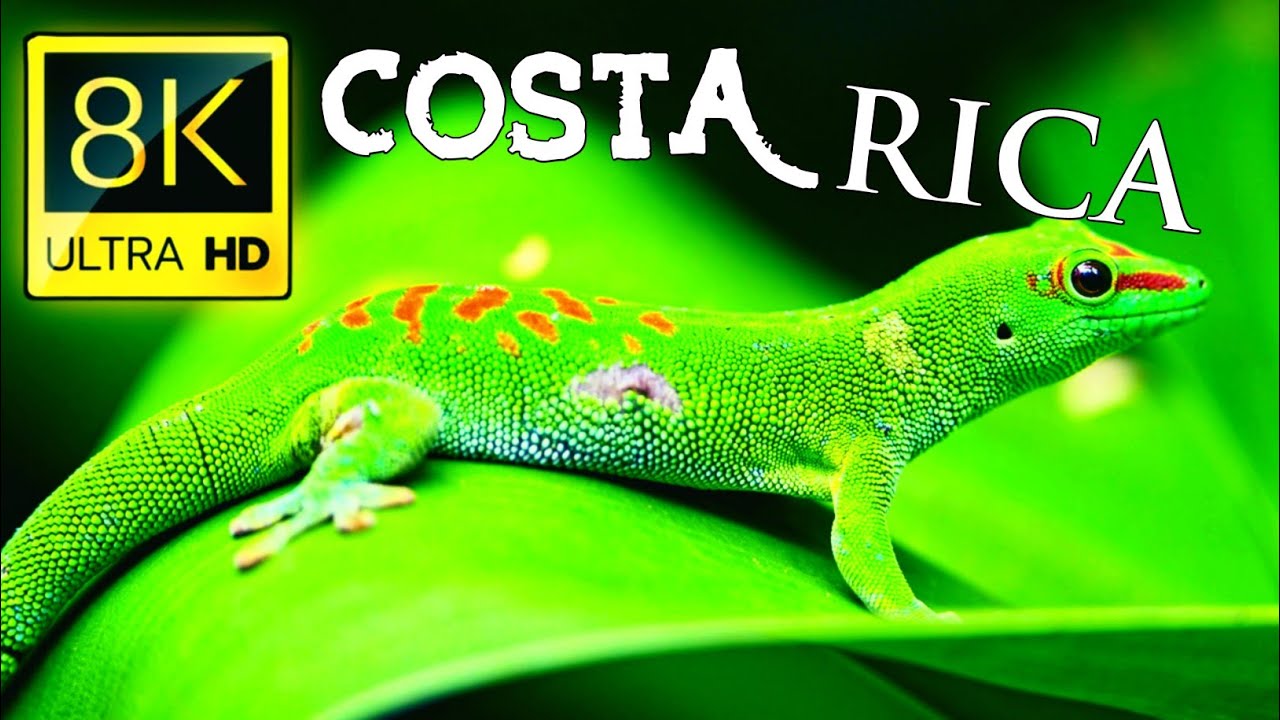 COSTA RICA IN 4K 60fps HDR (ULTRA HD) - YouTube