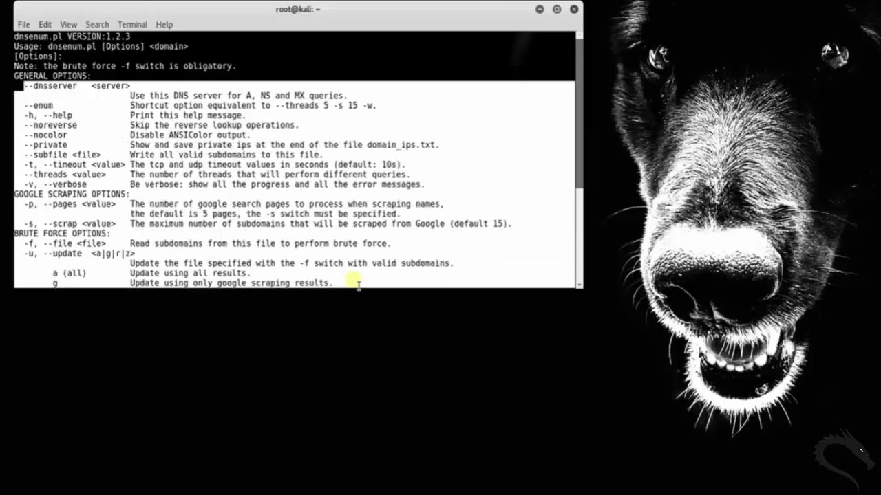 dnsenum Information Gathering Tool Kali Linux - Ethical Hacking course - YouTube