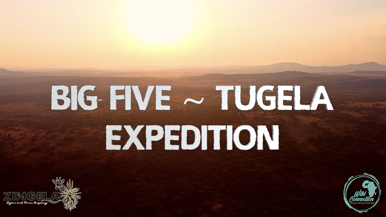 Wild Connection // Big Five ~ Zingela Expedition - YouTube