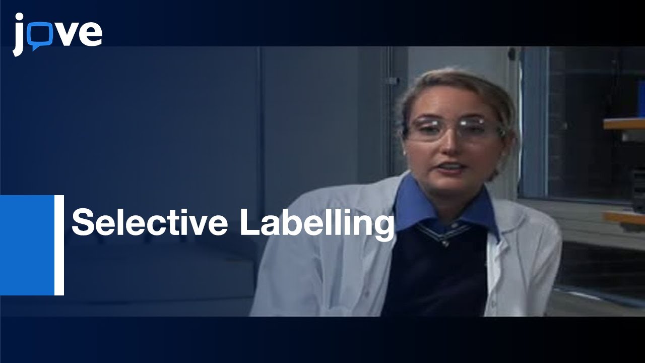 Selective Labelling: Cell-surface Proteins Using CyDye DIGE Fluor ...