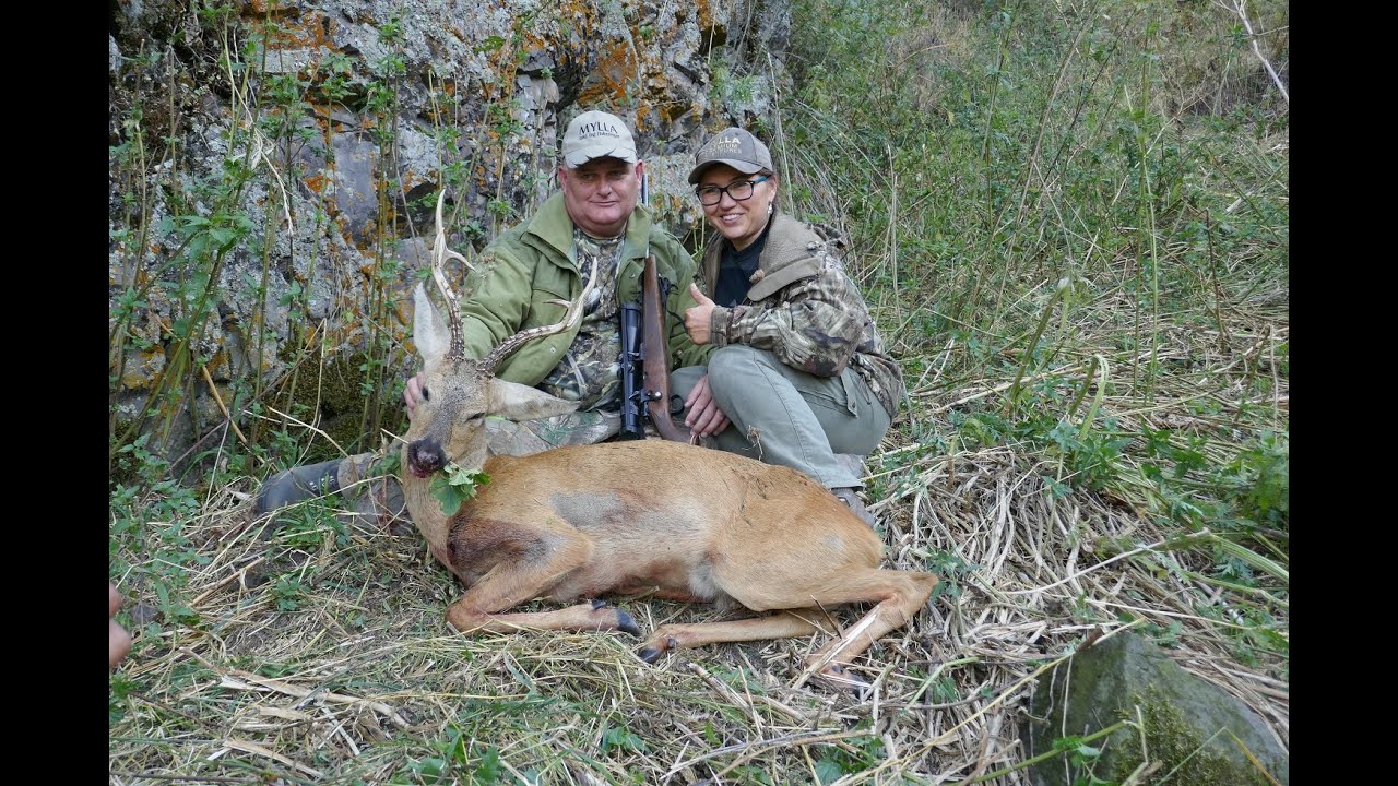 Jakt på sibirsk råbukk i Kasakhstan. Hunt after sibirian roebuck in ...