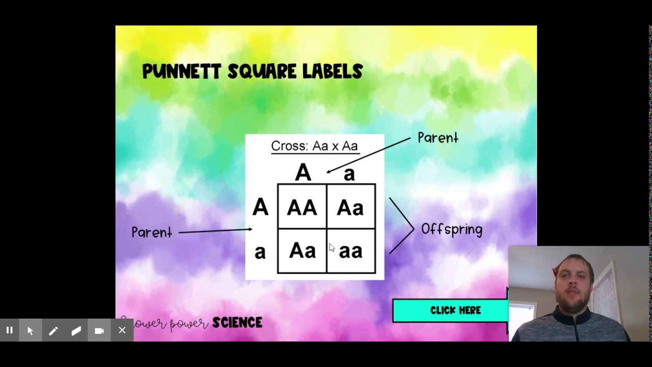 Punnett Square Basics - Notes & Practice Problems w/ Mr. Moran - YouTube