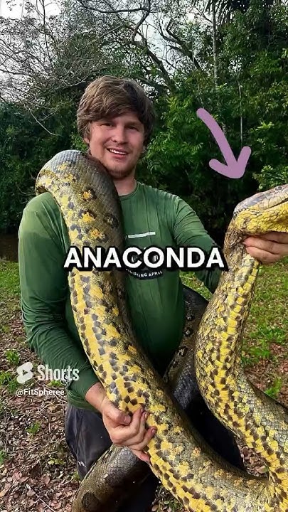 This Man Has No Fear 💀(@fishingarrett) - YouTube