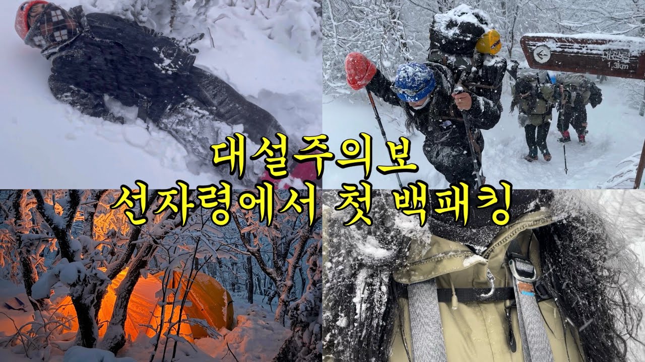 첫 백패킹을 폭설 내리는 강원도 선자령 초보백패킹 저체온증 백패커 설산백패킹 백패킹입문 백패킹텐트