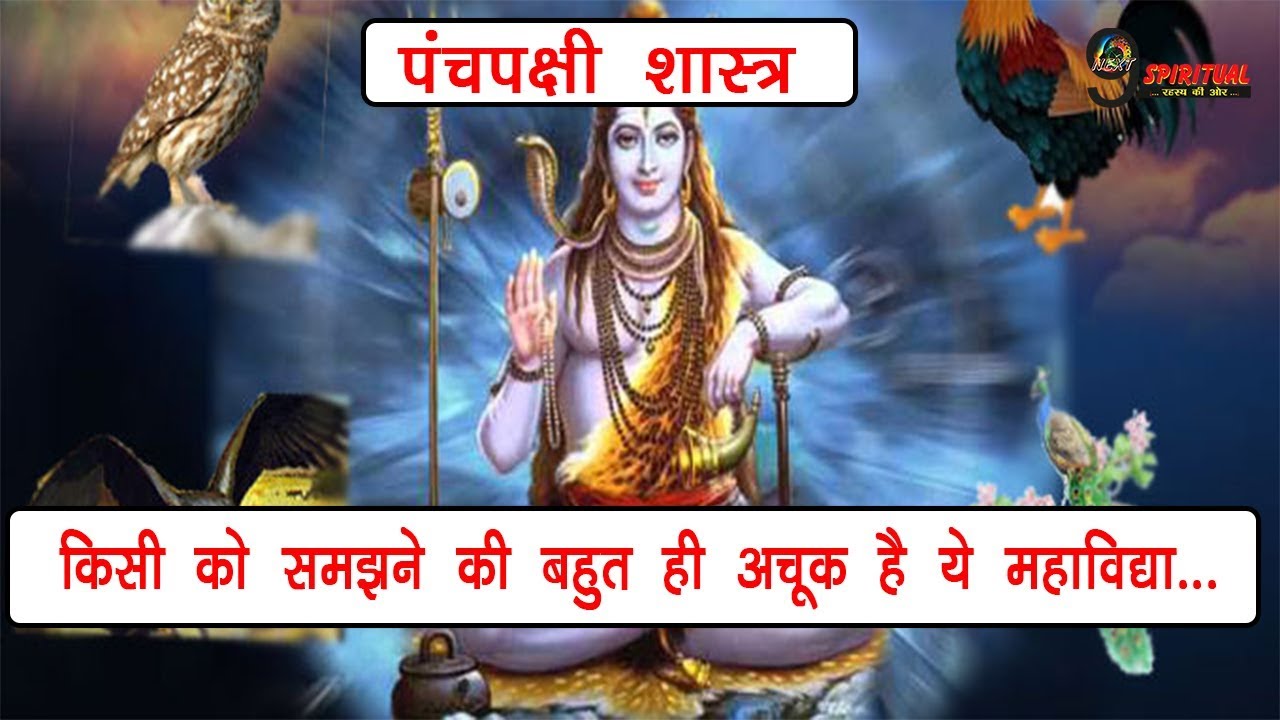 बहुत ही अचूक है किसी को समझने की ये महाविद्या... | Panch Pakshi Vidya ...