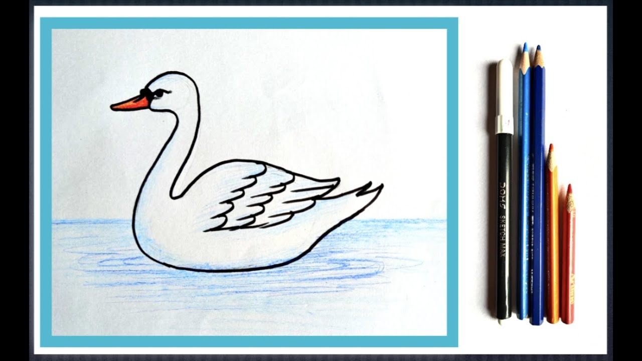 How to draw easy Swan Drawing | Step by step easy for beginners | - YouTube
