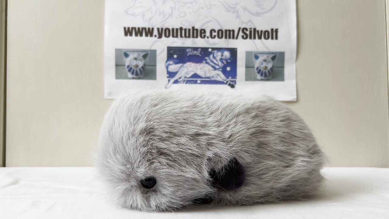 Cupboo BooBoo Intelligent Pet Robot Care Instructions - YouTube